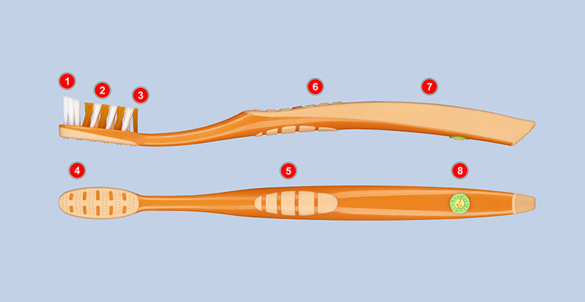 How to Choose the Best Toothbrush for Your Oral Health